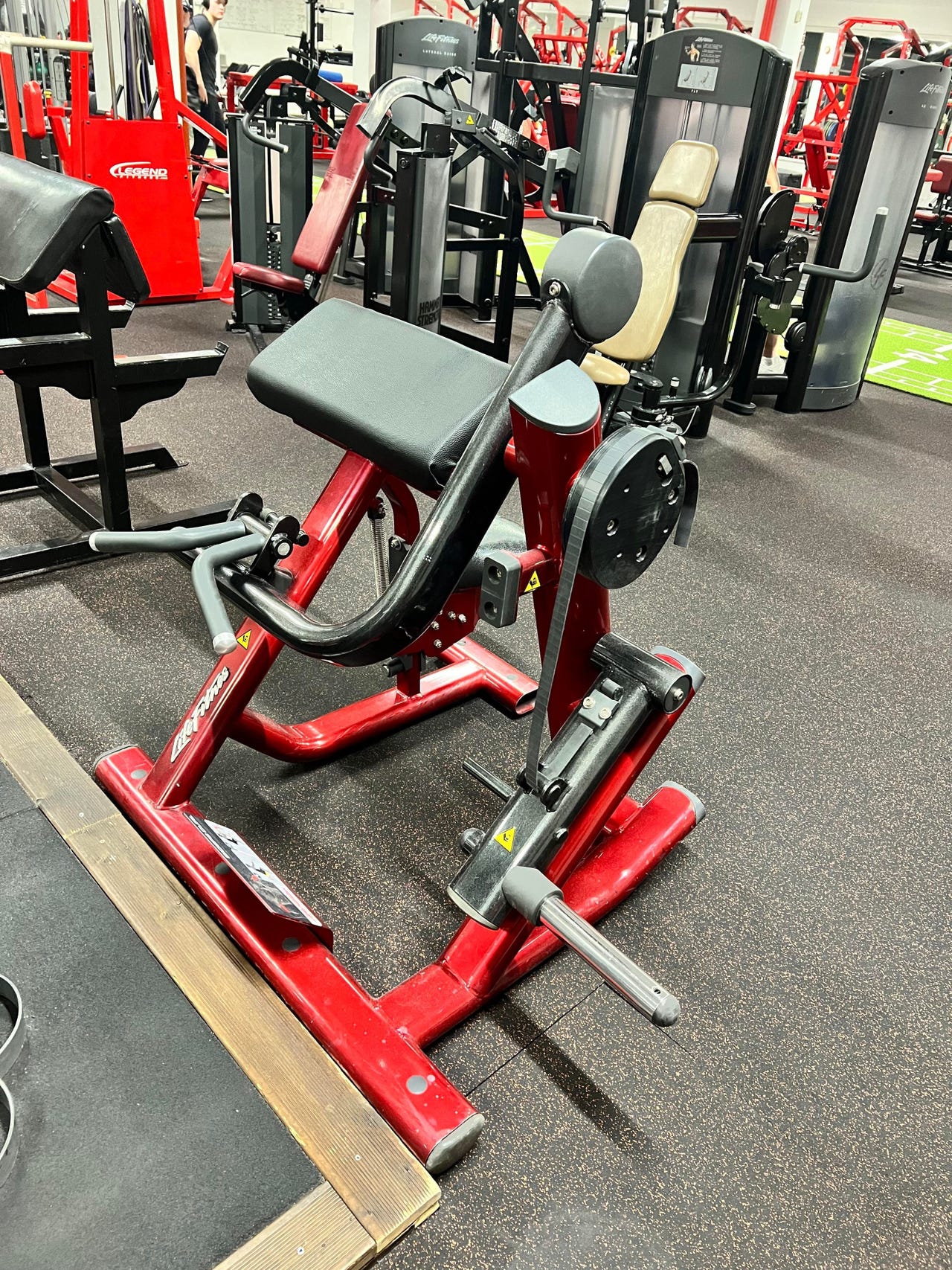 Preacher Biceps Curl. Life Fitness | FINN-torget