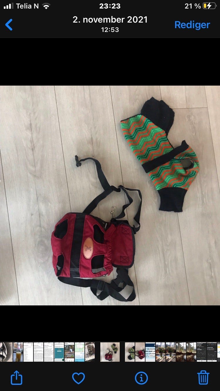 Hunde sekk, hunde genser | FINN torget