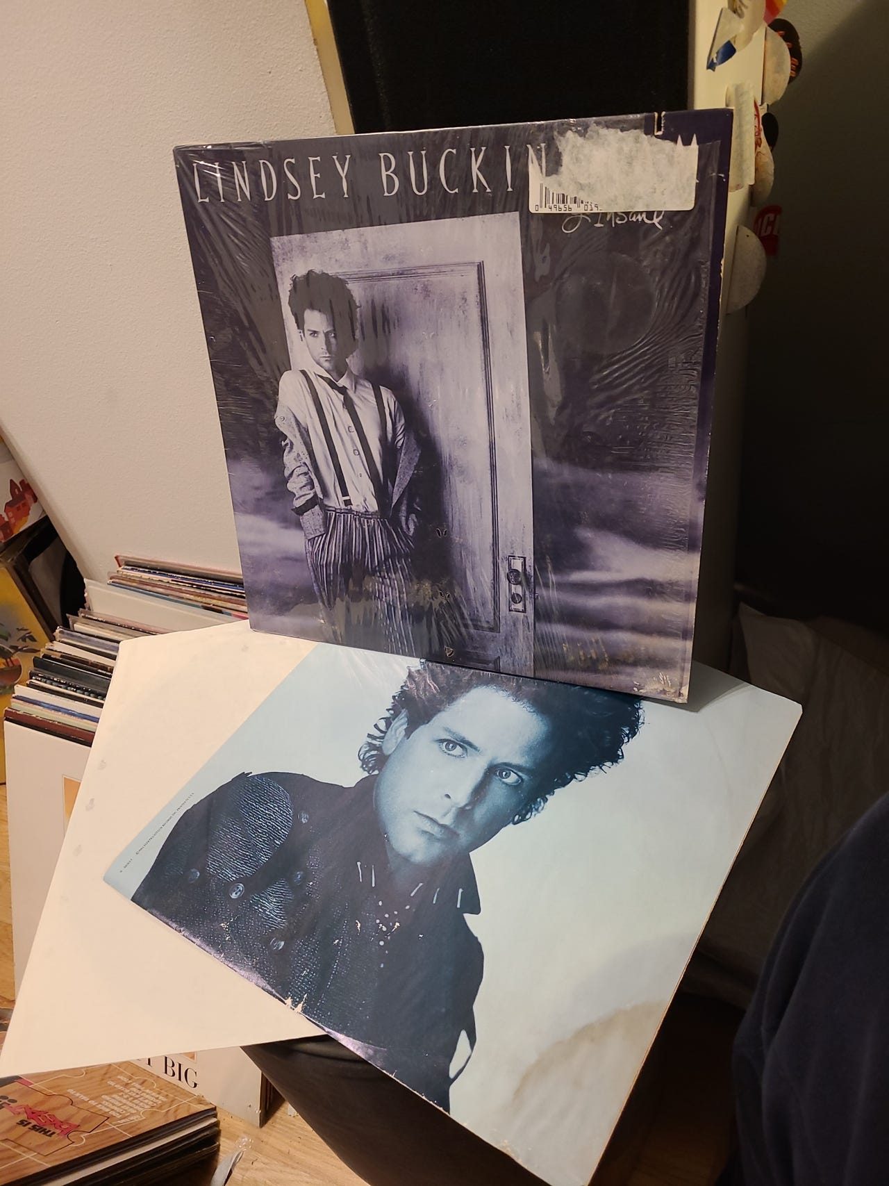 Lindsey Buckingham go insane | FINN-torget