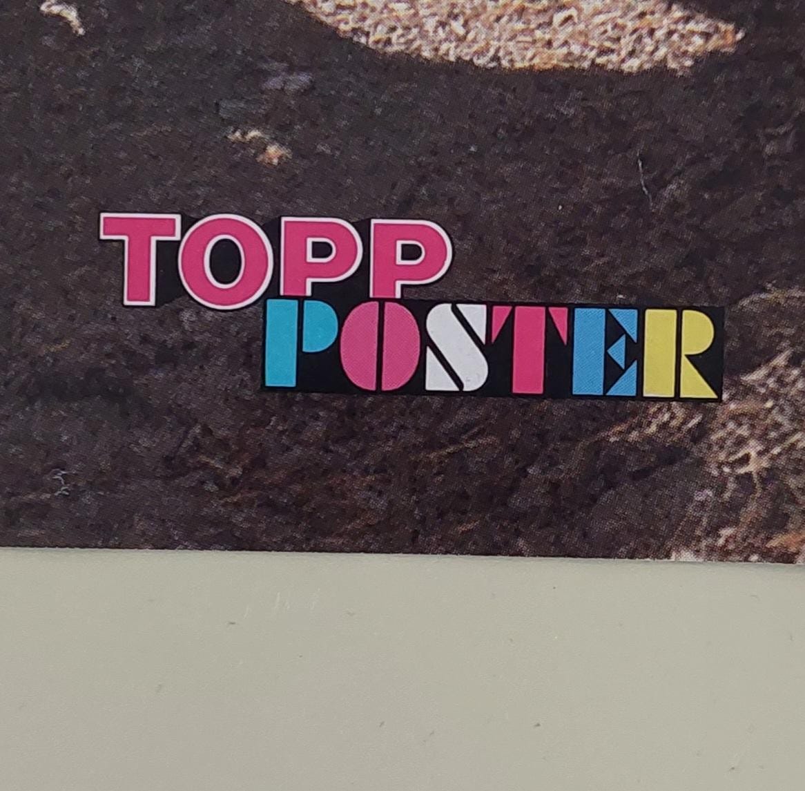 "TOPP poster" & "POP poster" | FINN-torget