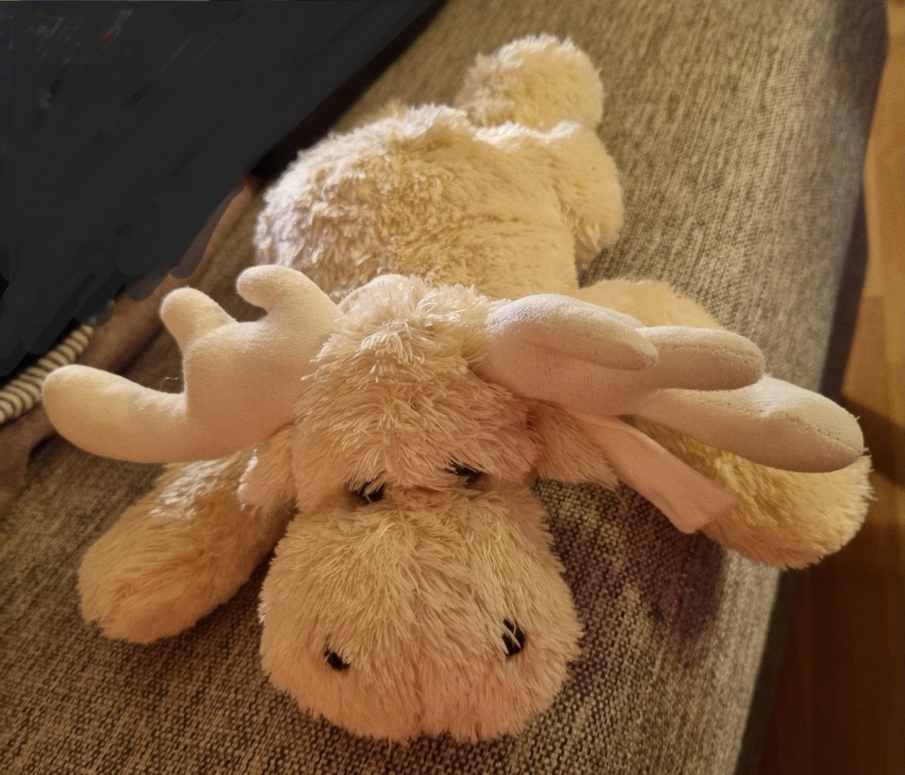 Norges elg kosedyr selges | FINN-torget