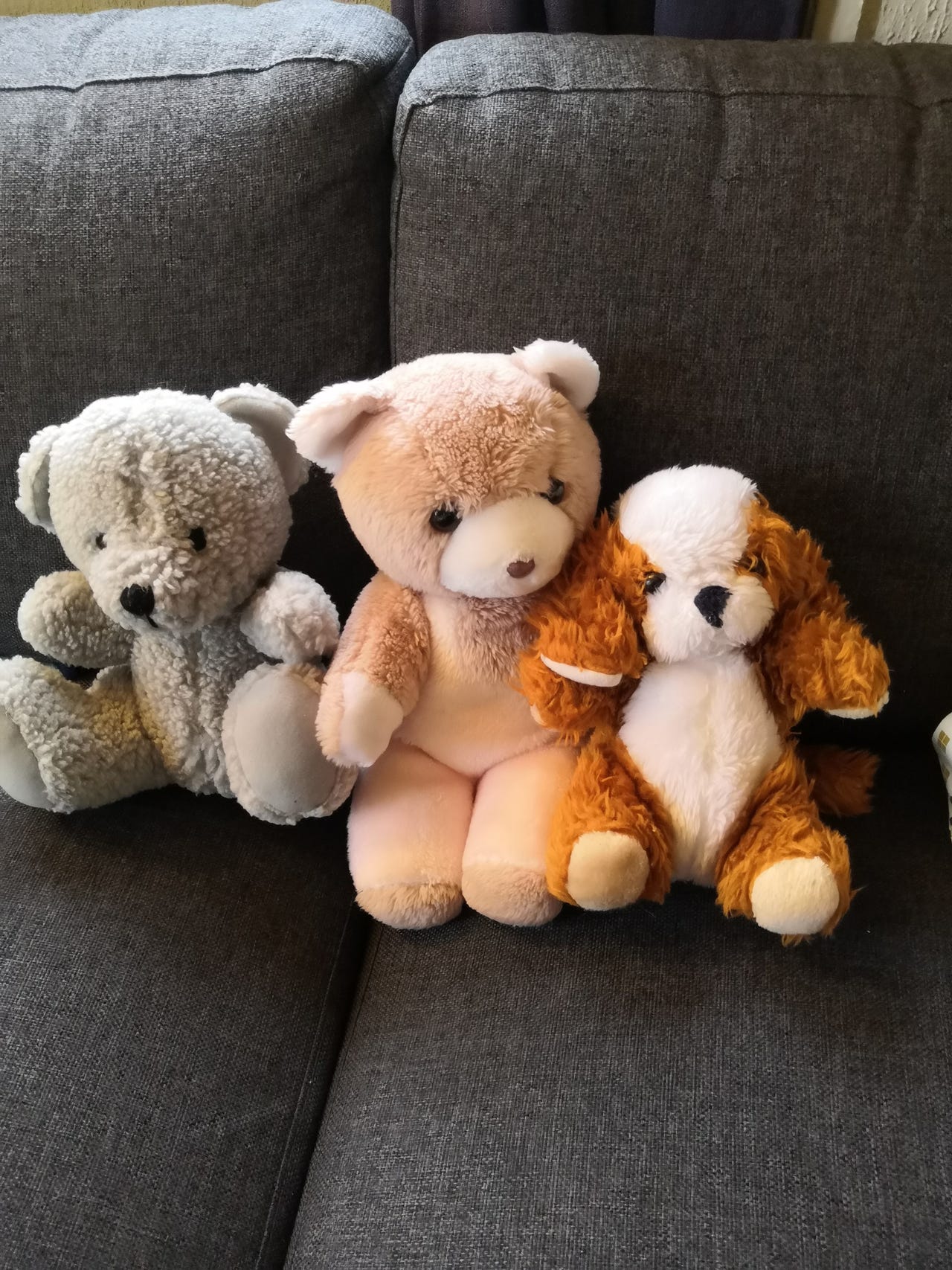 Bamser | FINN-torget