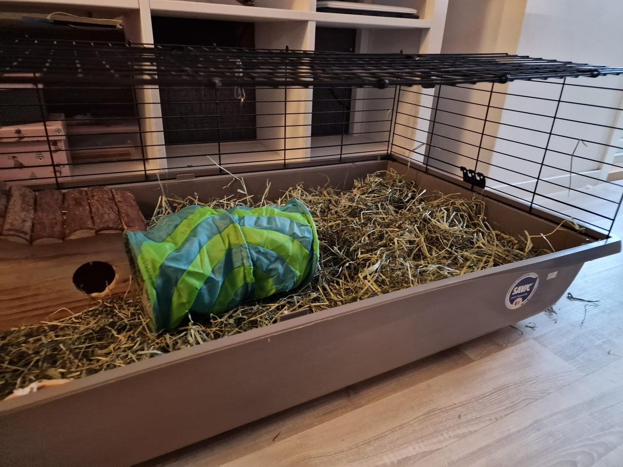 Bur og tilbehør til marsvin | FINN-torget