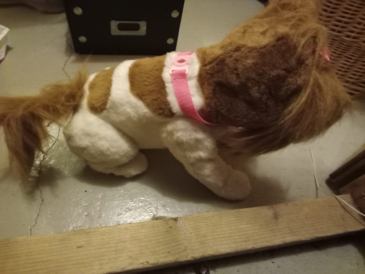 Lexie hund batteridrevet | FINN-torget