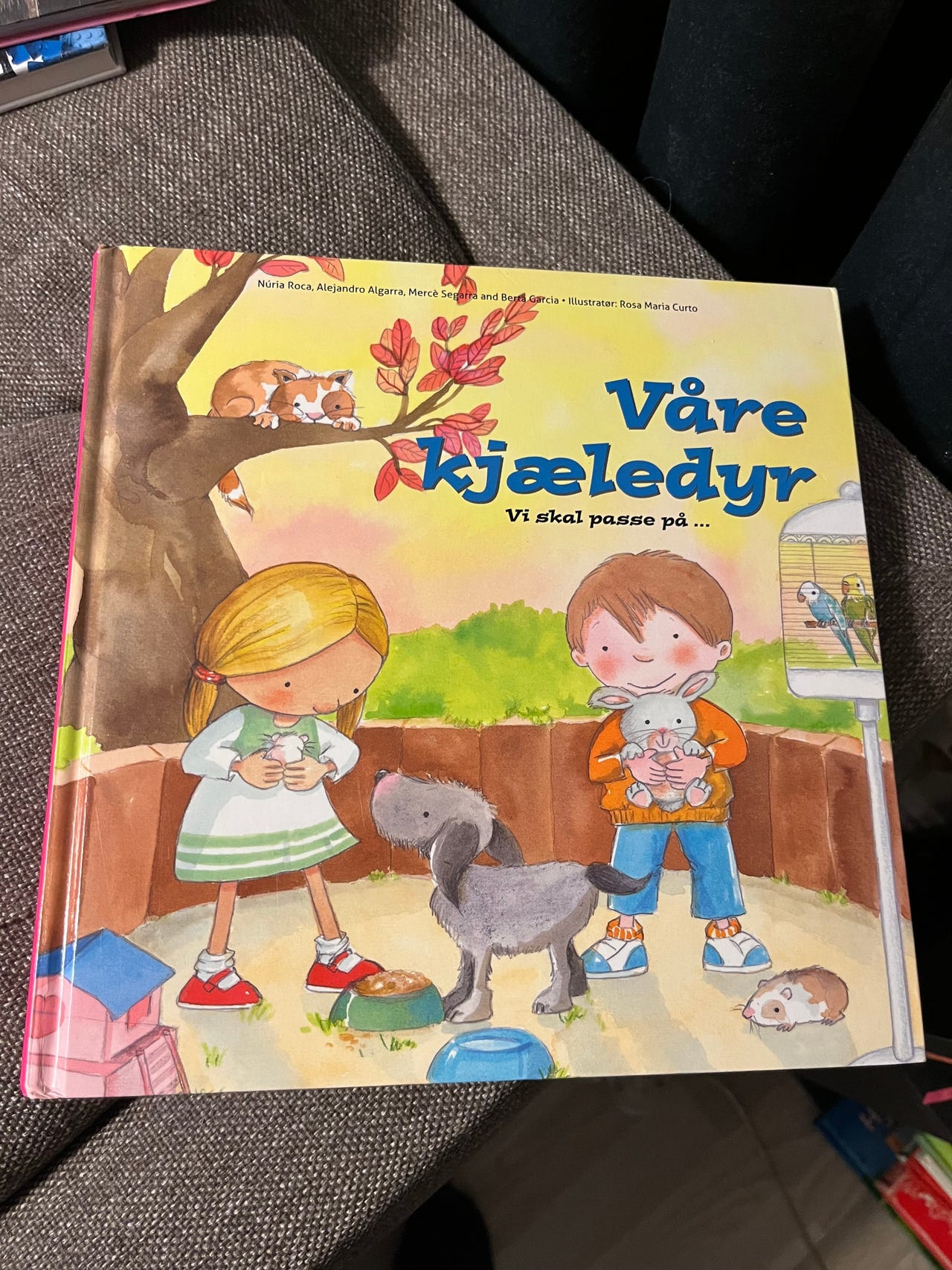 Våre kjæledyr vi skal passe på | FINN-torget