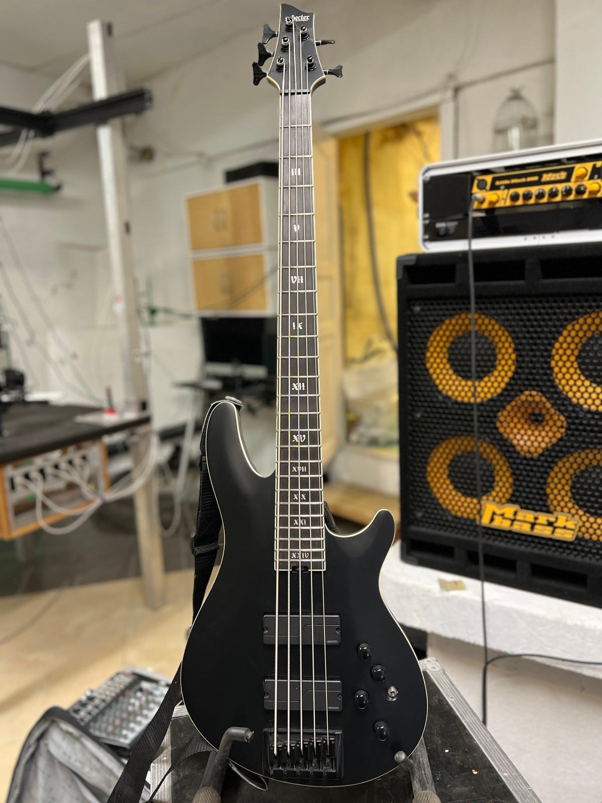 Schecter Evil Twin 5 String bass guitar + Flightcase | FINN-torget