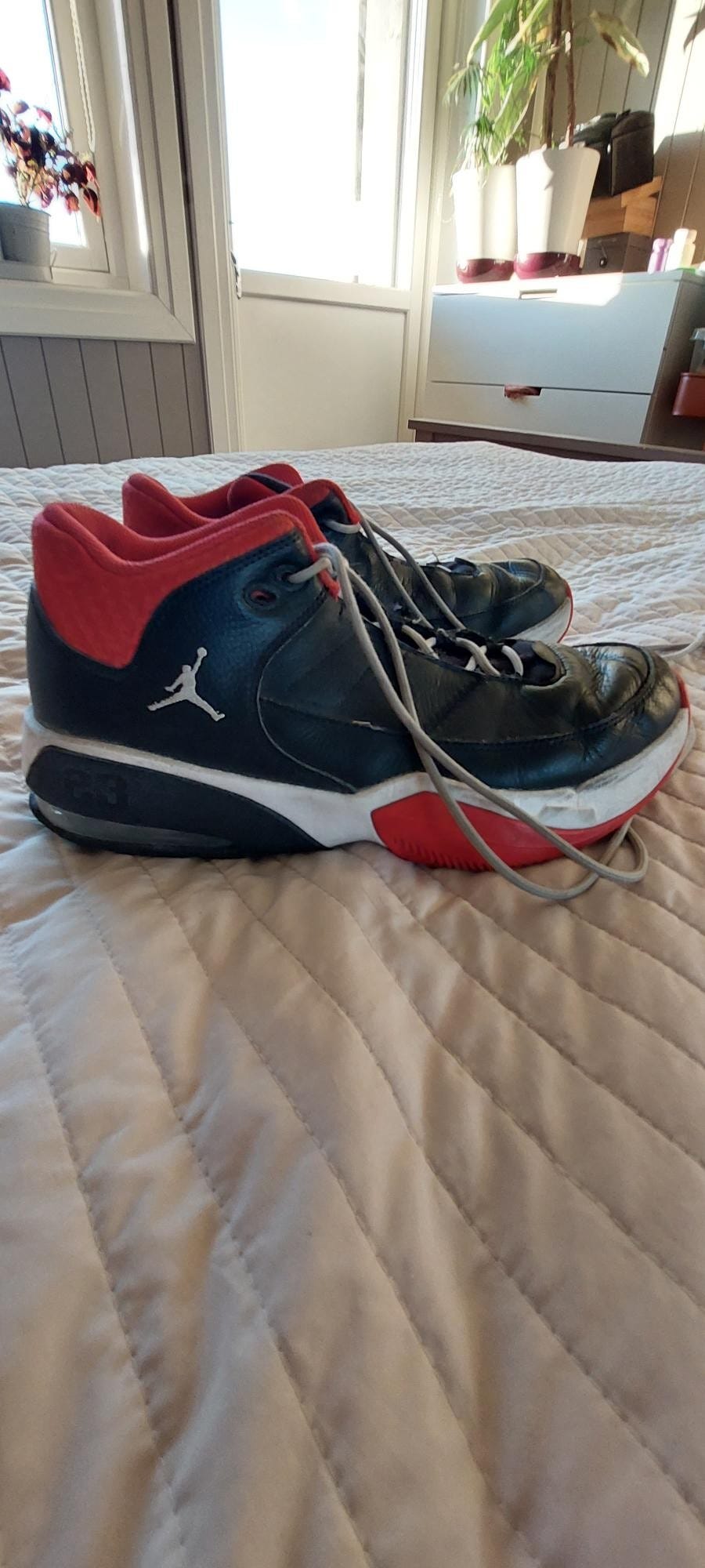 Nike Jordan sko str 43 | FINN-torget