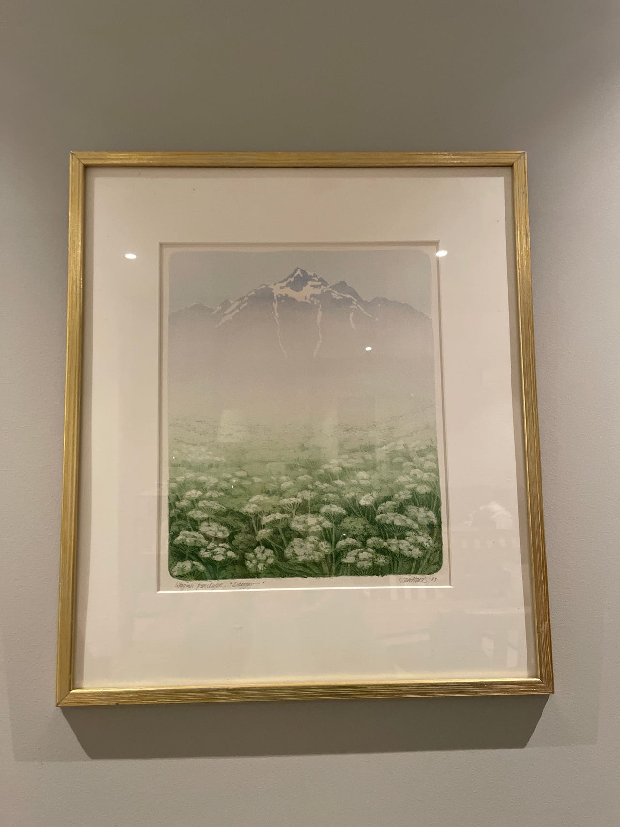 Litografi av Jan Harr | FINN-torget