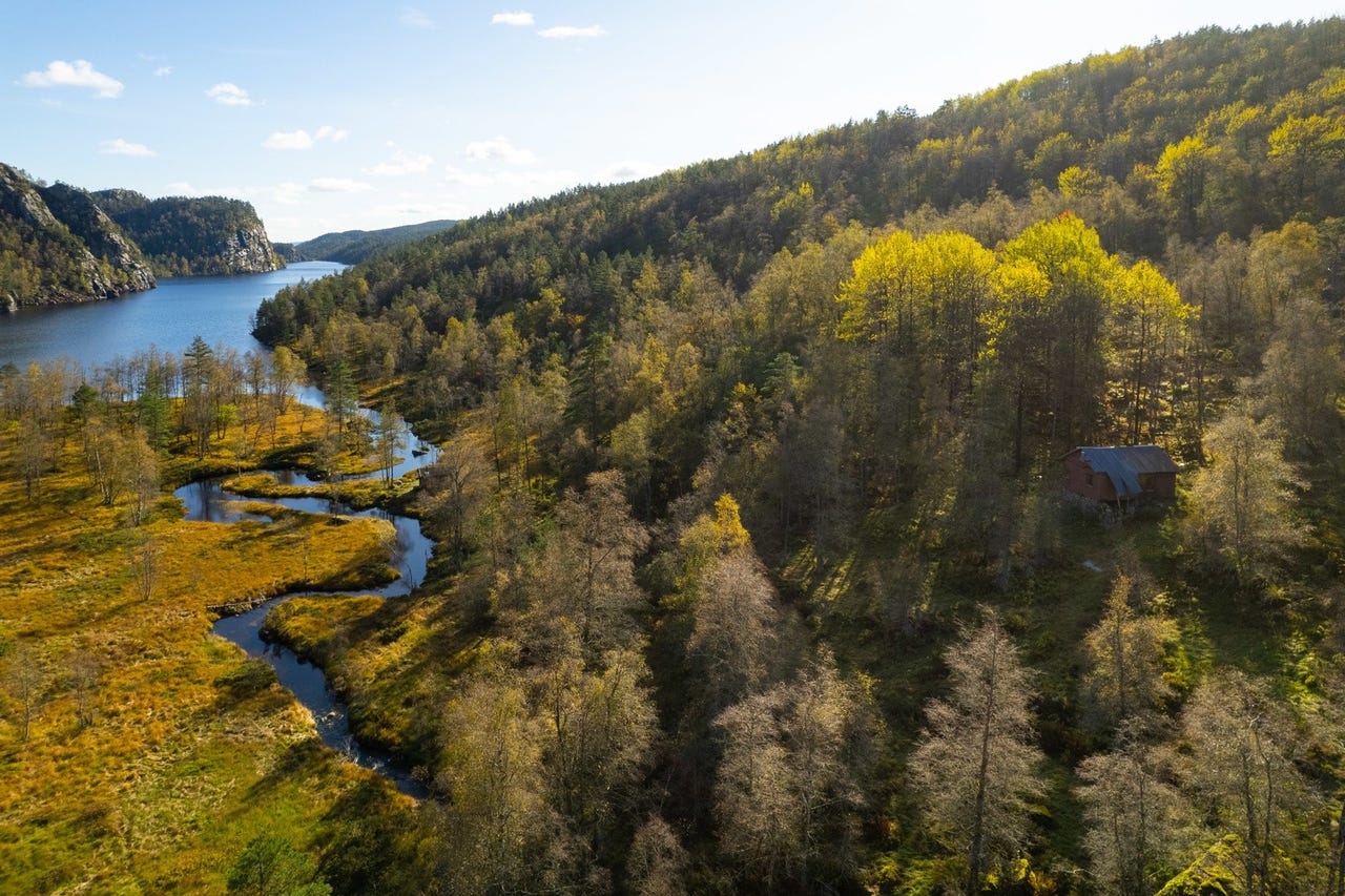 Gyland, Flekkefjord - Villmarken kaller! Fritidseiendom med 80 dekar ...