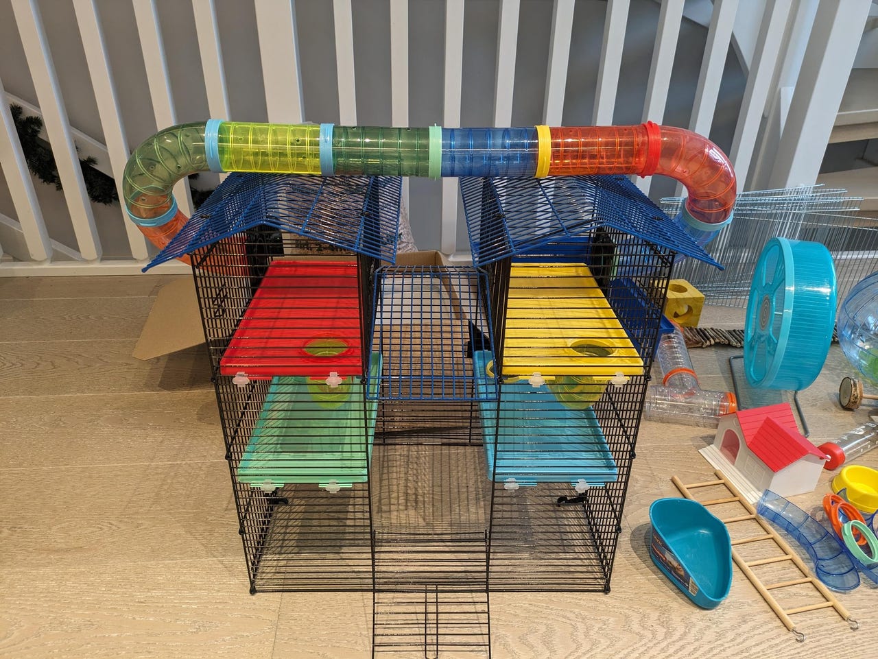 Komplett hamster bur og utstyr | FINN-torget