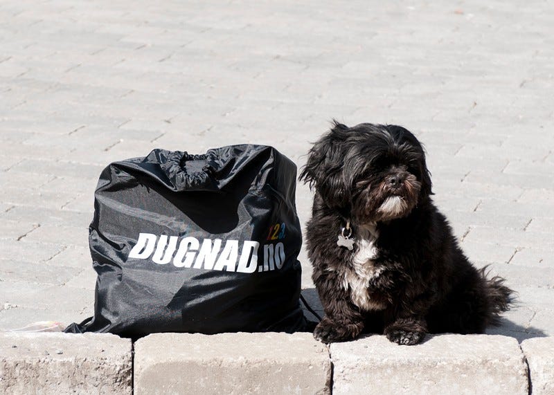 Domenet 123Dugnad.no | FINN torget