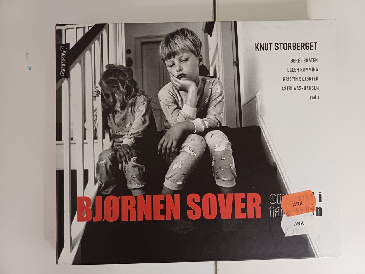 Bjørnen sover: om vold i familien Av Knut Storberget | FINN-torget