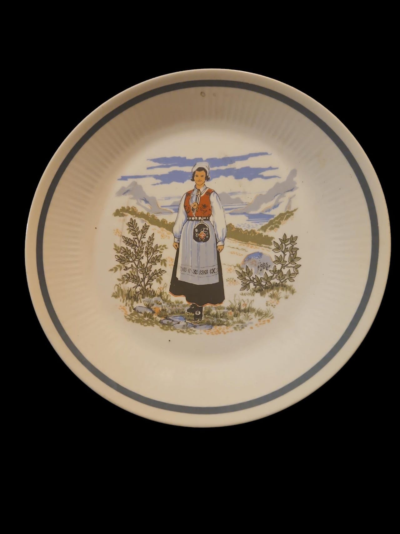 Tallerken fra Figgjo | FINN torget