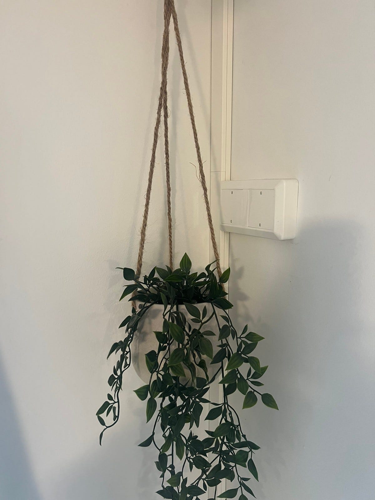 Henge potte med falsk plante | FINN-torget