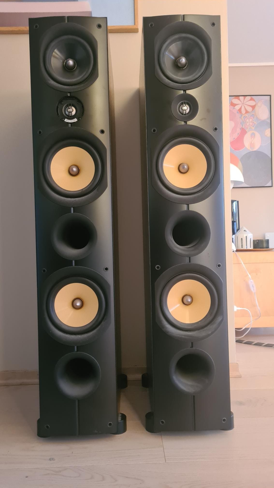 Psb imagine X2t gulvhøyttalere | FINN torget