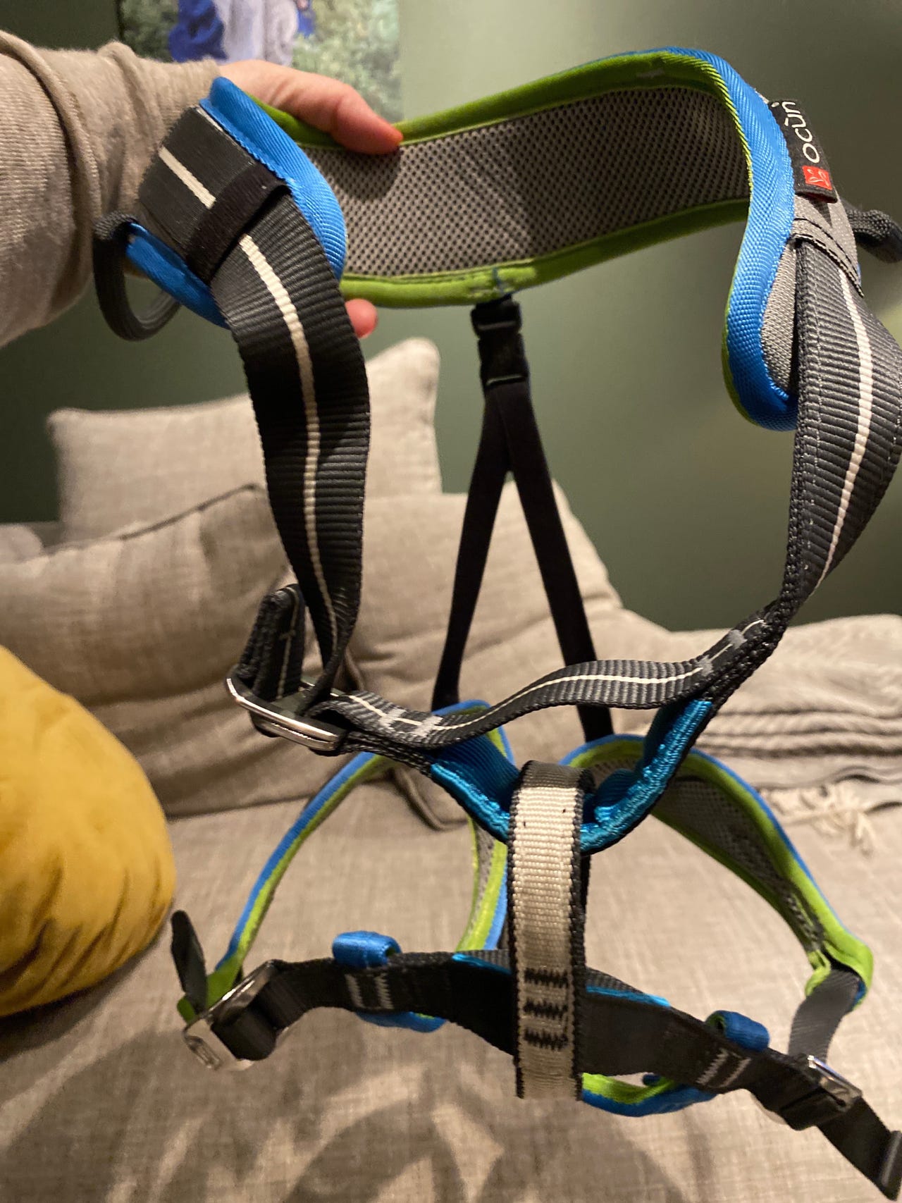 Klatresele barn | FINN torget