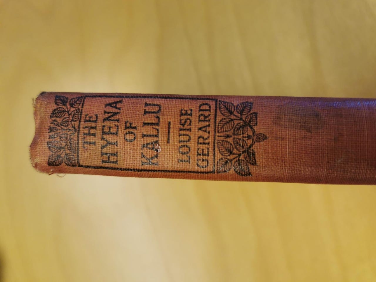 The Hyena of Kallu - Louise Gerard | FINN torget