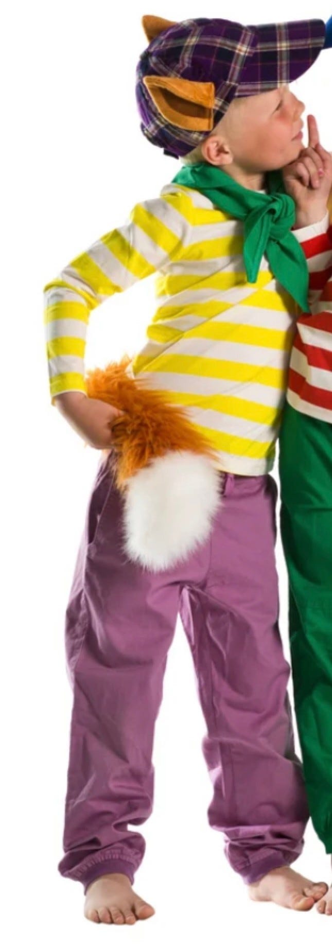 Kostyme/hakkebakkeskogen/Mikkel rev | FINN-torget