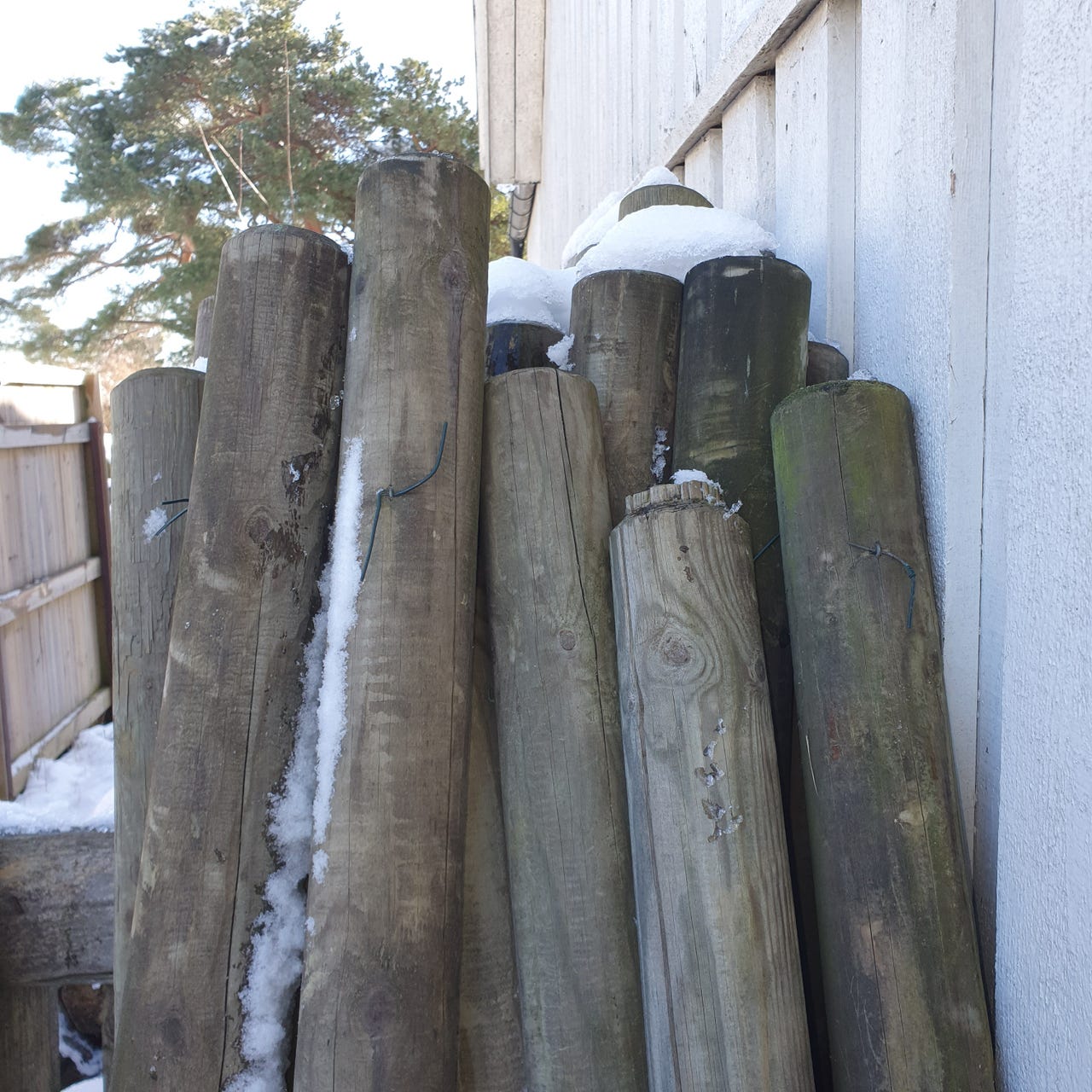 Gjerdestolper. Trykkimpregnert. 8 x 175cm | FINN-torget