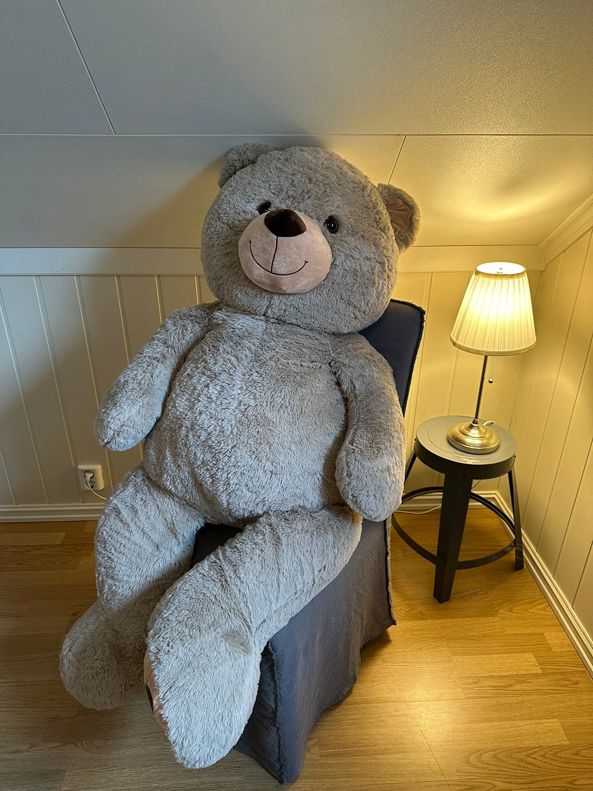 STOR Bamse selges BILLIG! | FINN torget