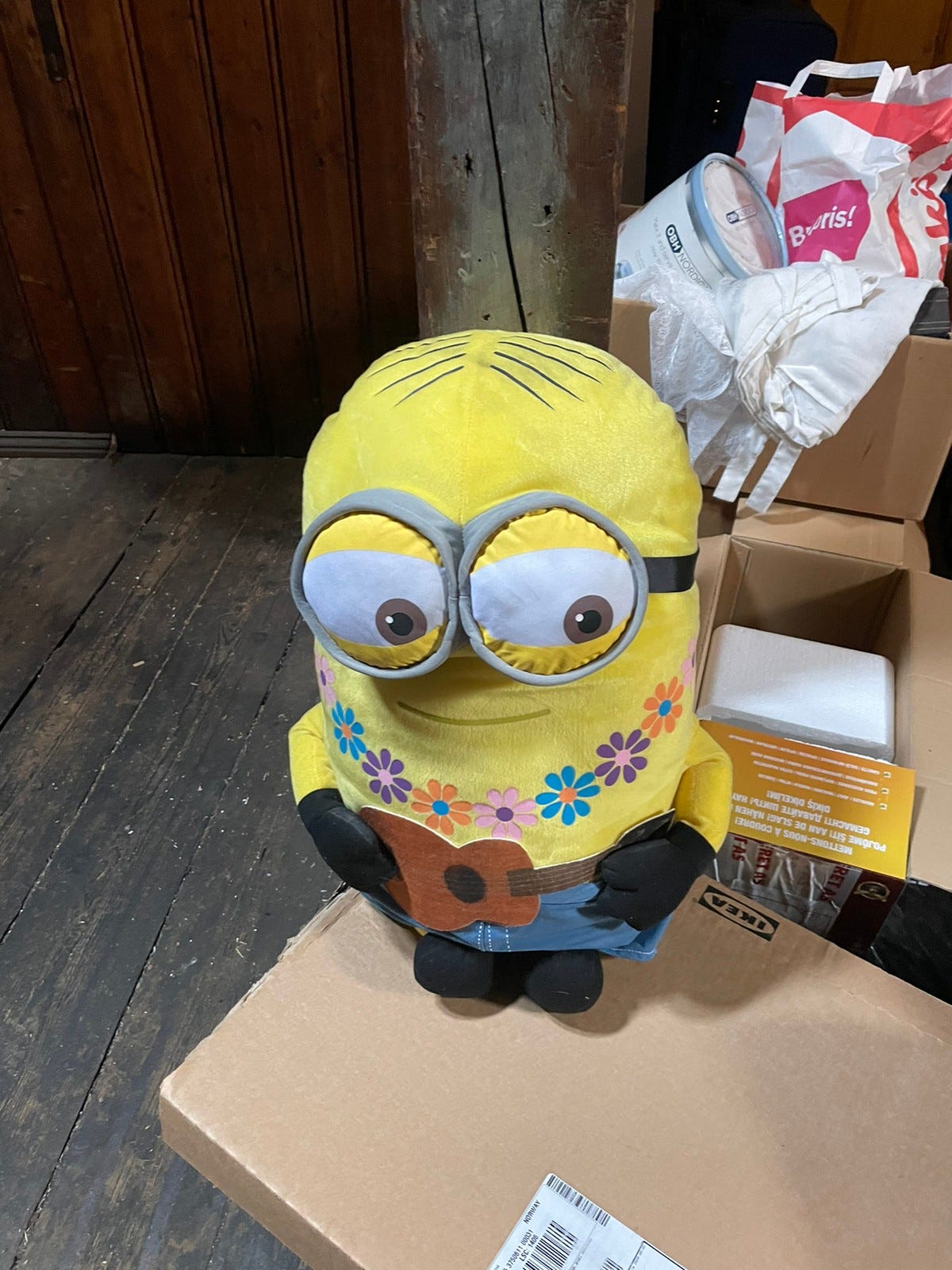 kosedyr- minion | FINN-torget