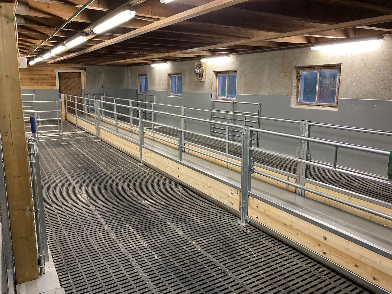 IAE innredning til sau | FINN torget