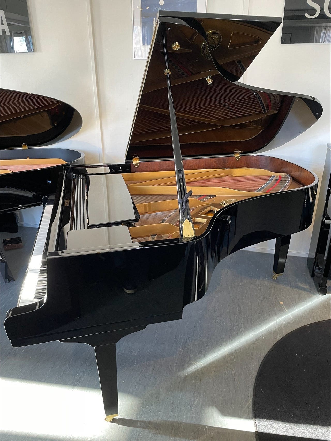 Flygelkampanje *Fraktfritt - Petrof P195 akustisk flygel sort polert ...