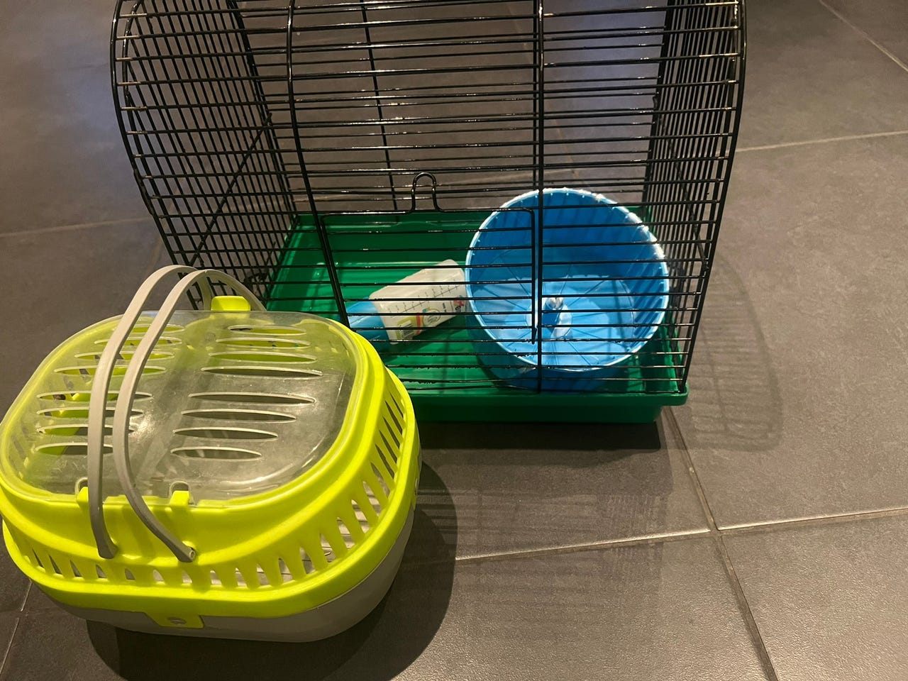 Hamster ting | FINN-torget