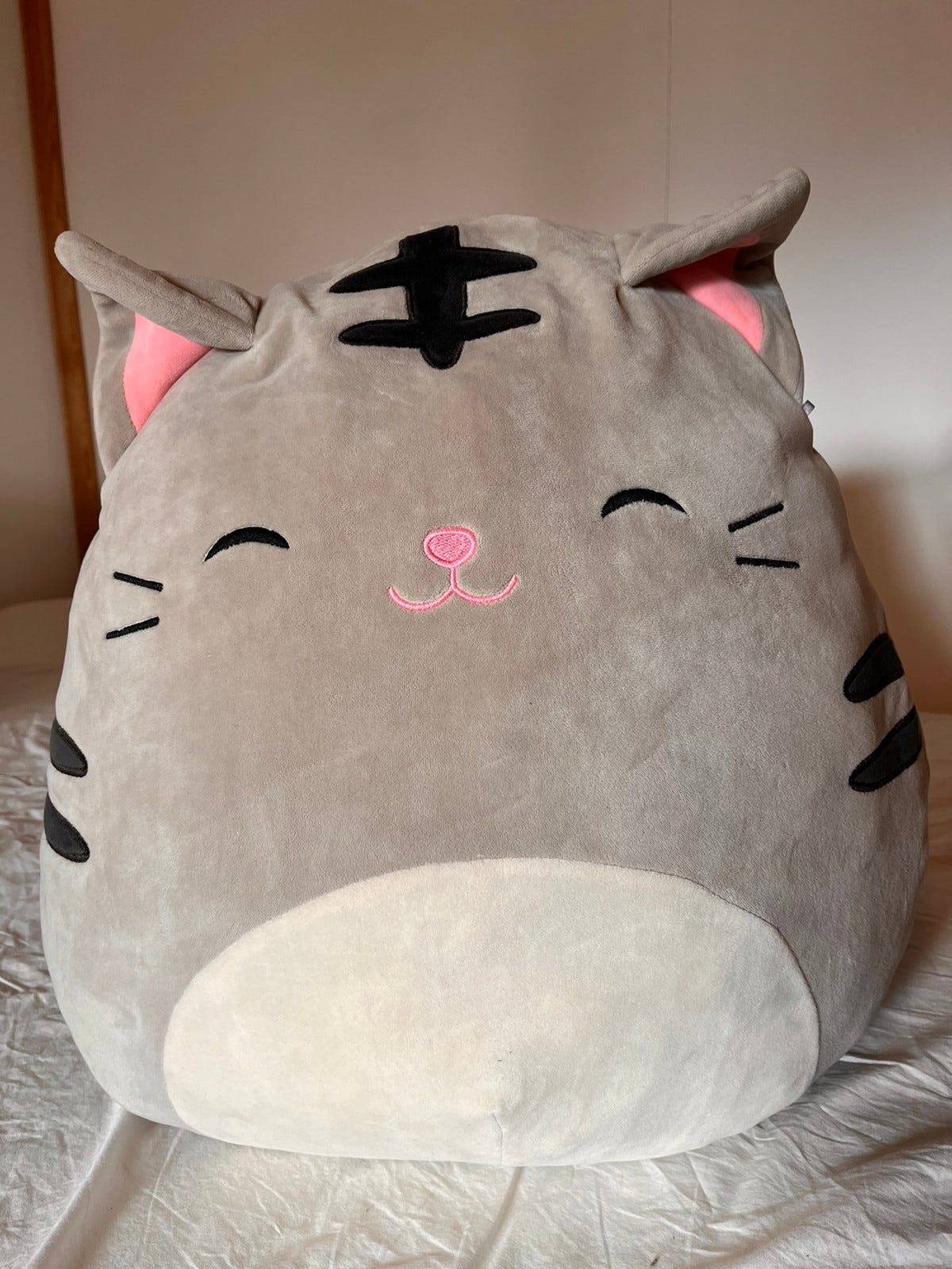 Squishmallow Cat, stor (50cm) | FINN torget