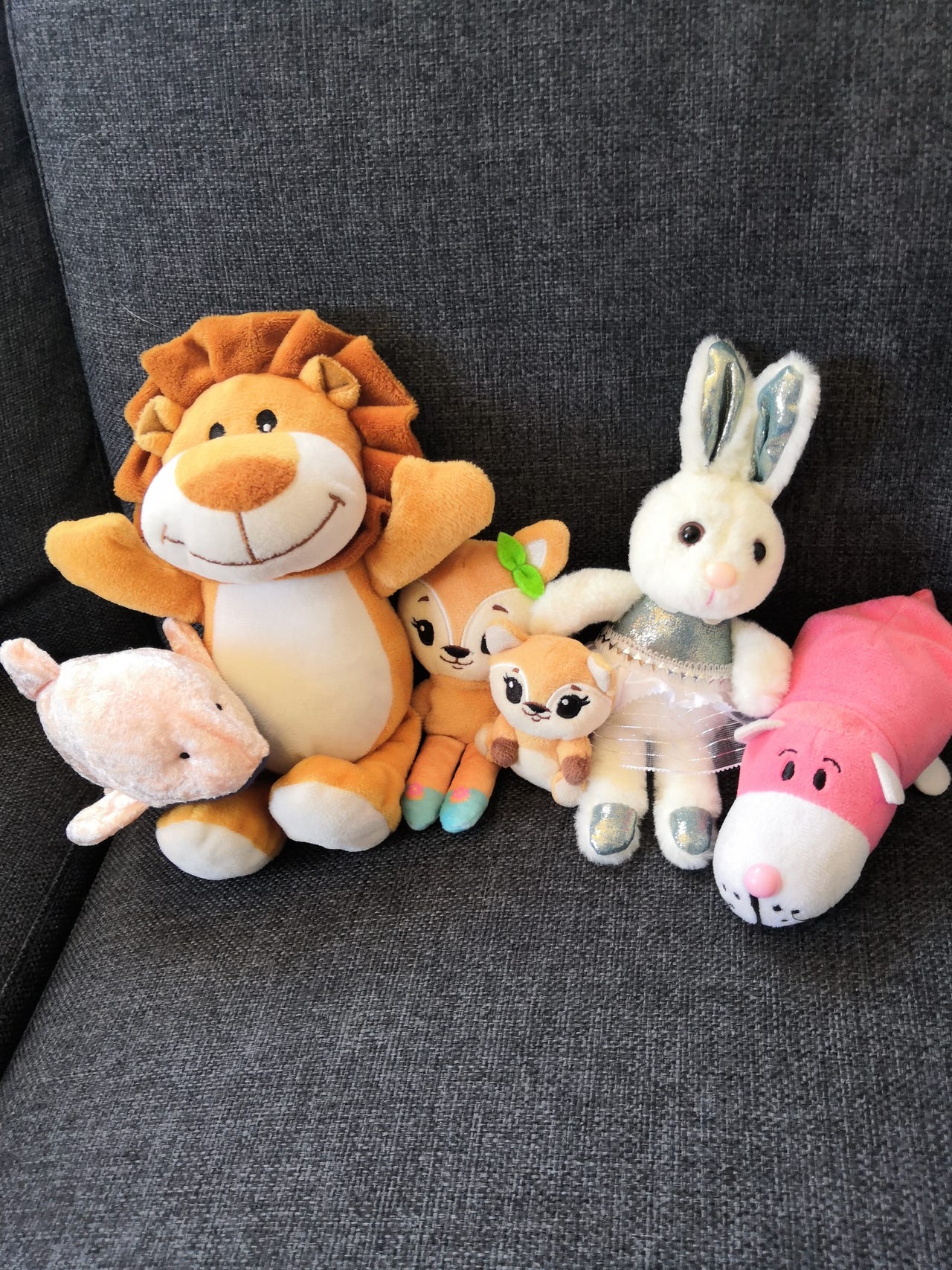 Små bamser | FINN-torget