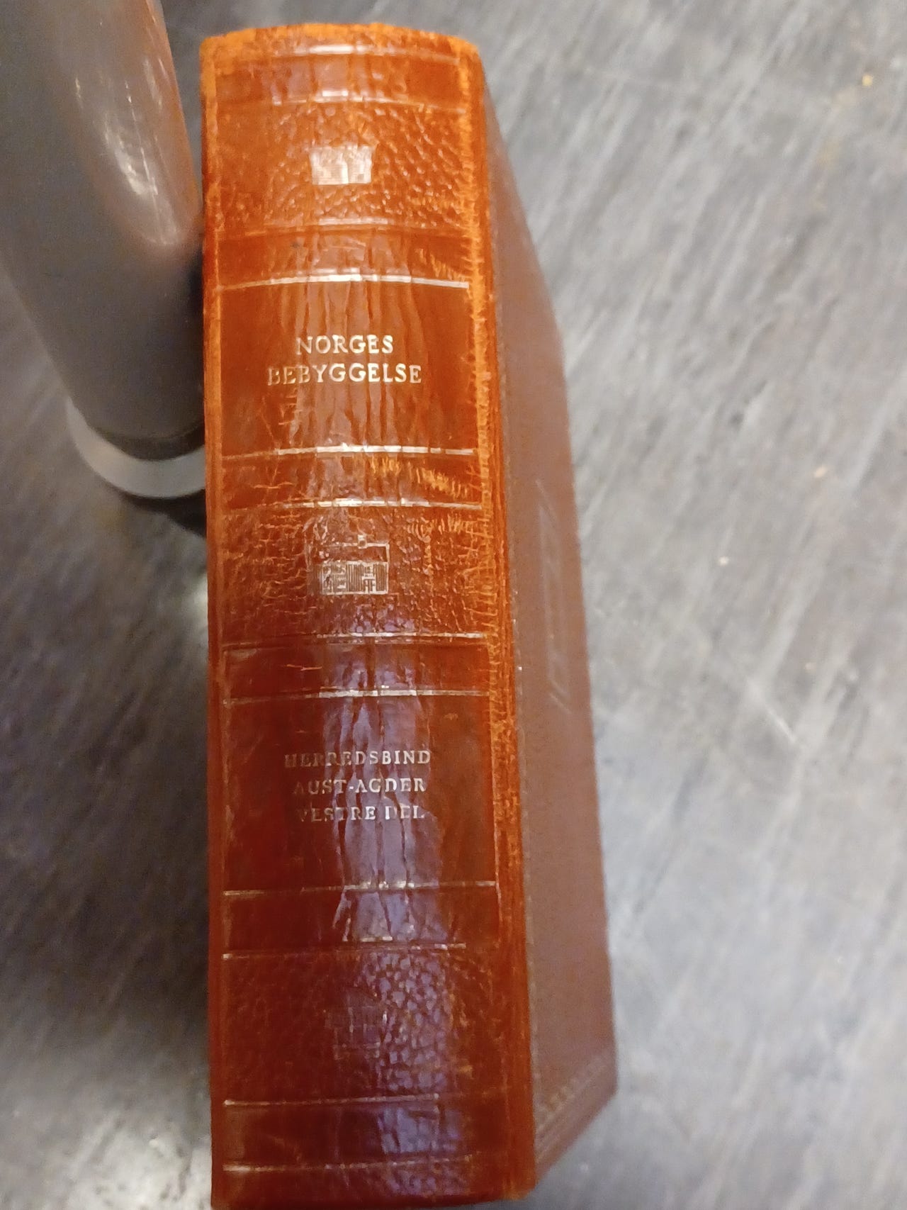 Norges Bebyggelse. Herredsbind Aust agder. | FINN-torget