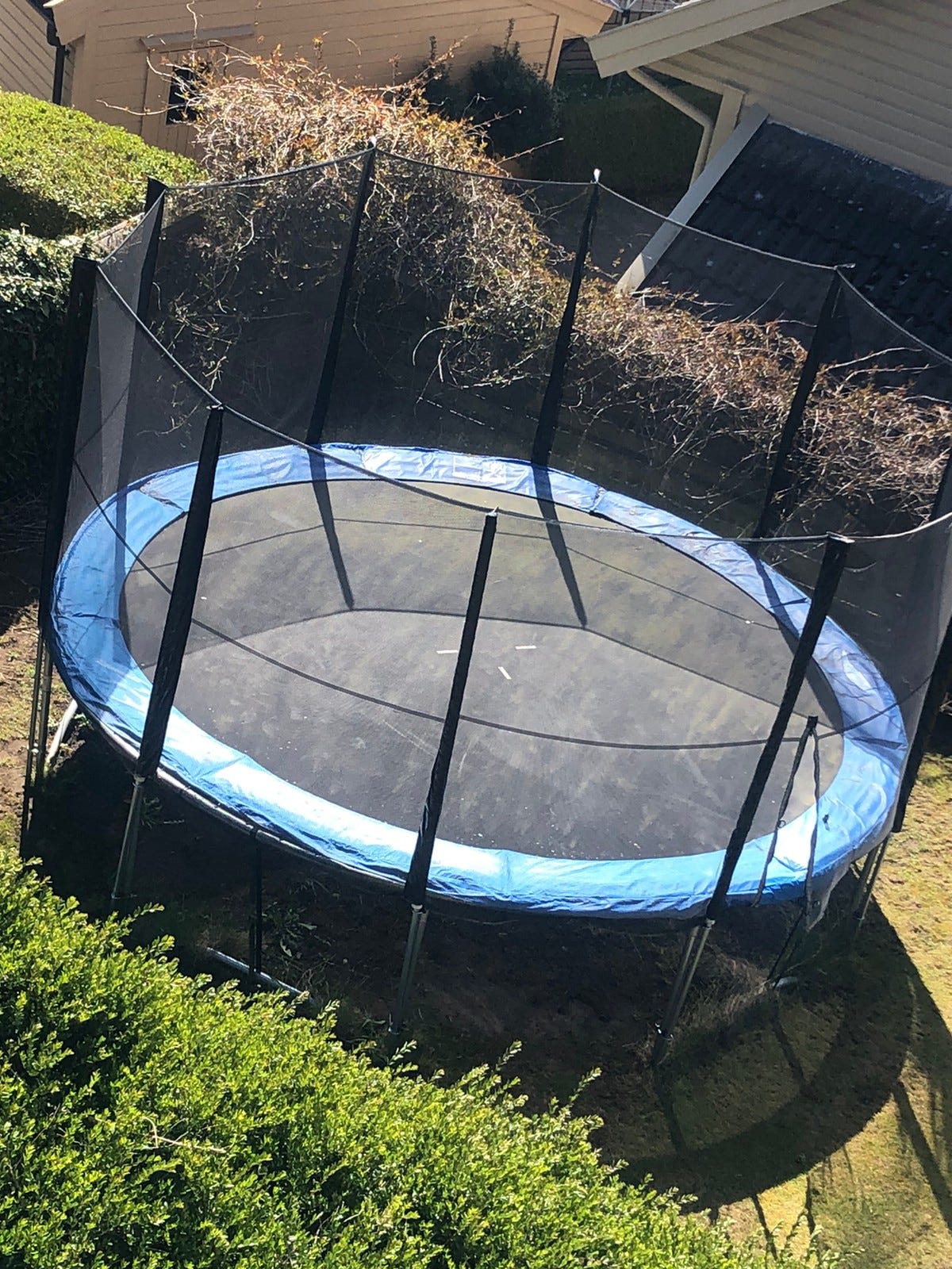 Stor trampoline | FINN-torget