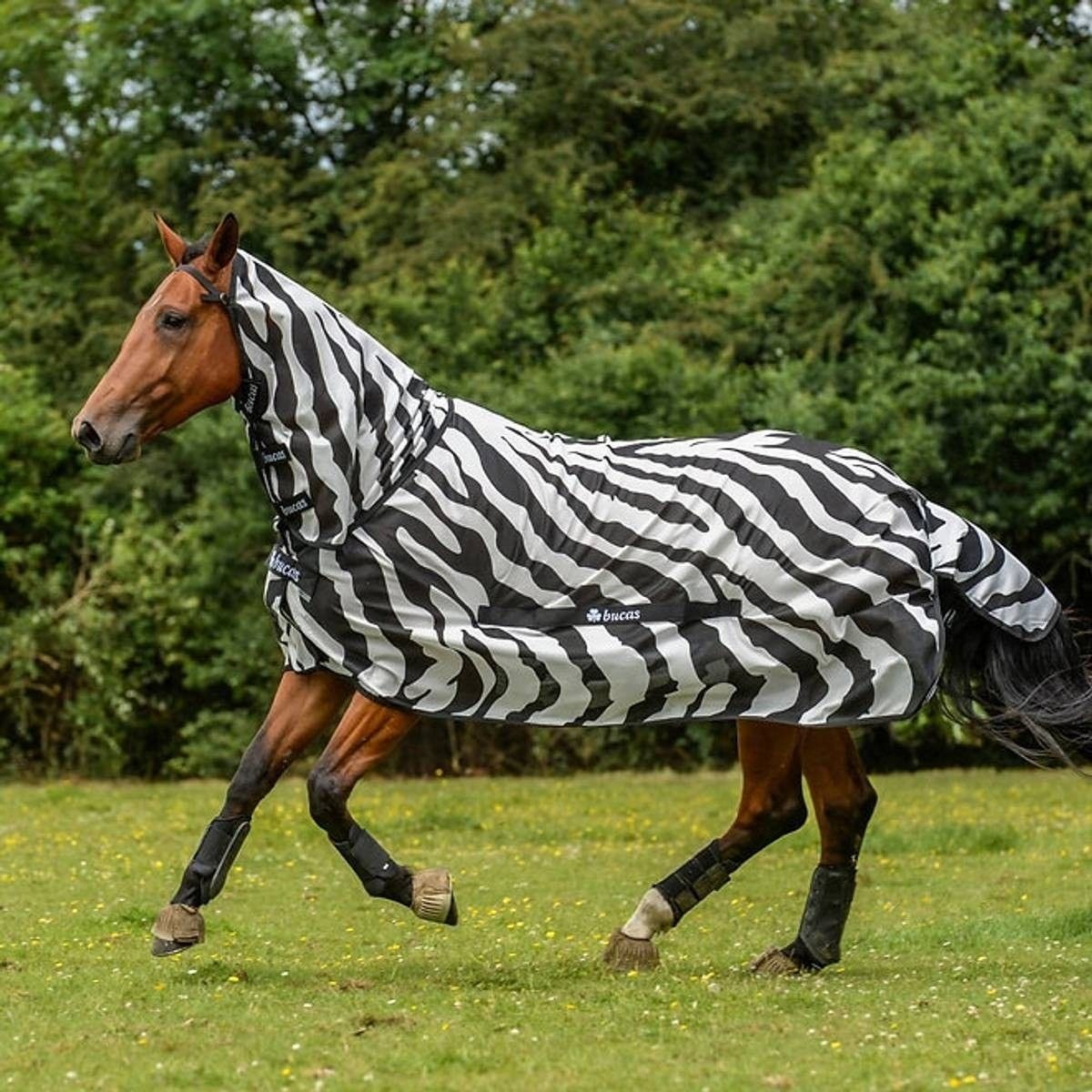 Bucas Buzz Off Zebra str. 105 | FINN-torget