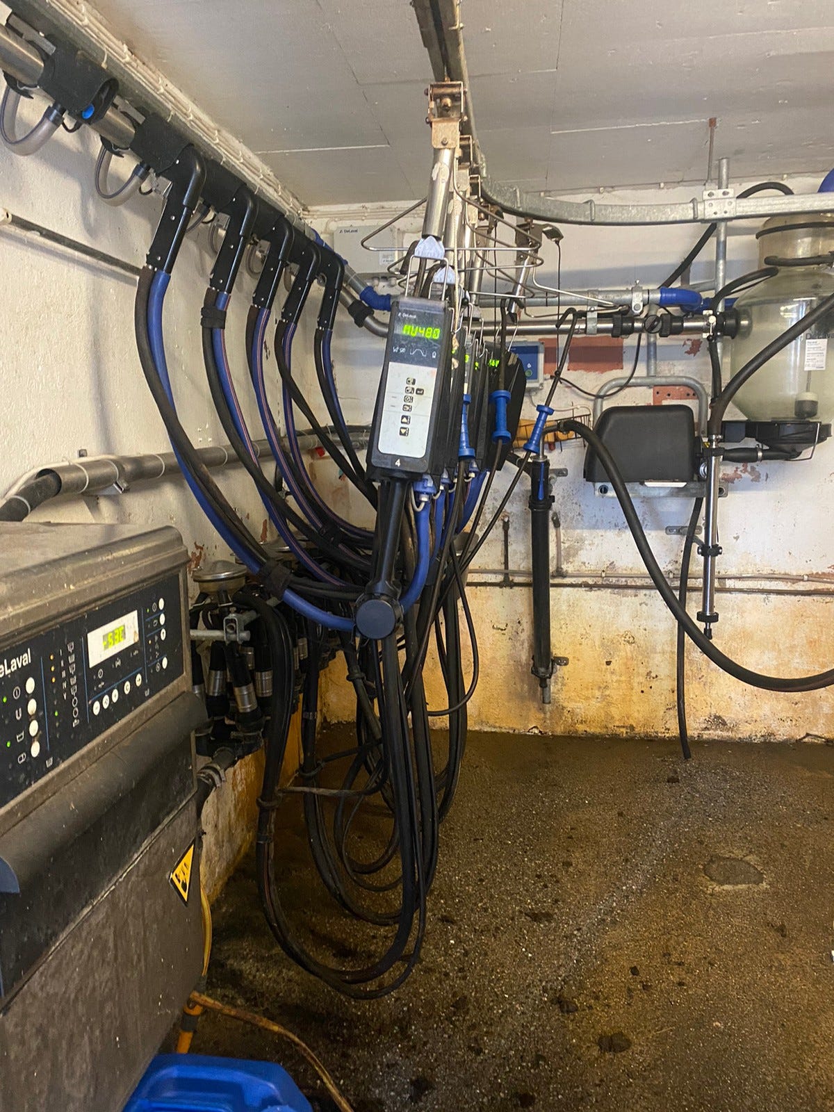 Delaval Melkeanlegg | FINN torget