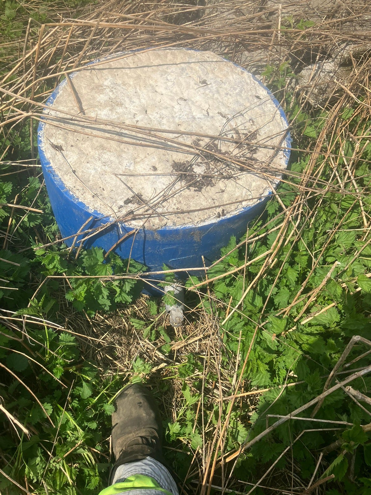 traktor lodd | FINN torget