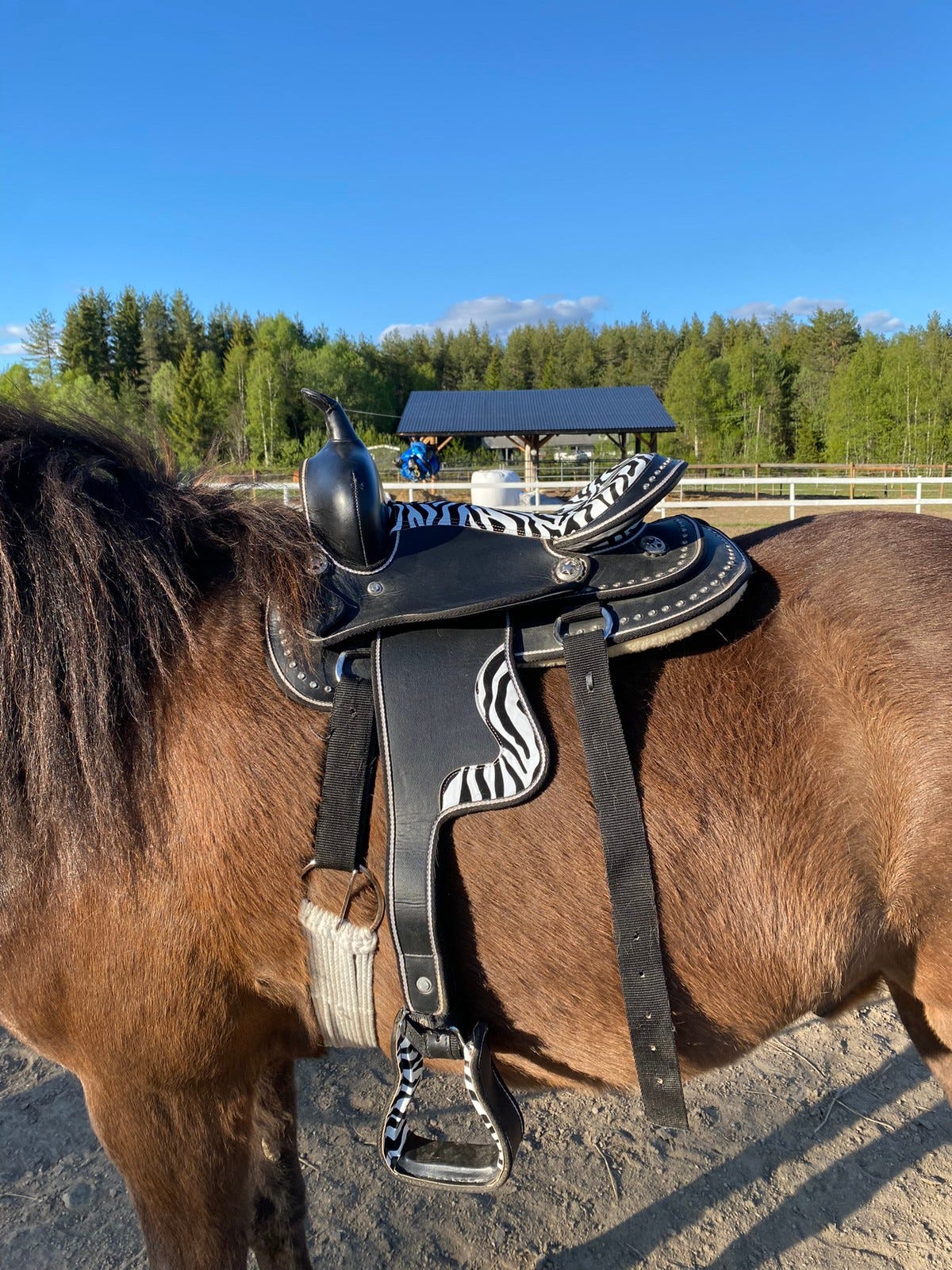 Kul westernsal med matchende hodelag | FINN torget