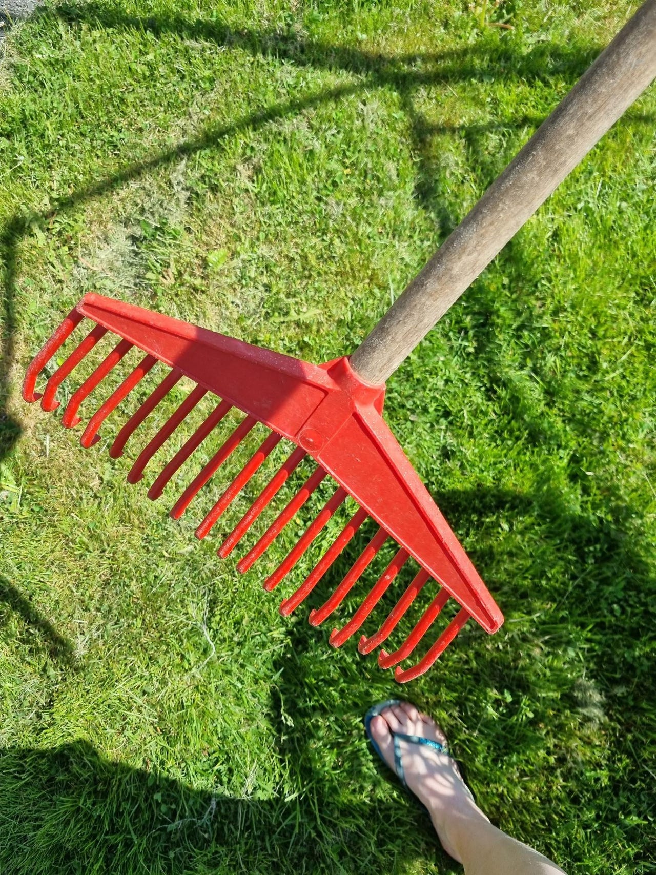 Rake gis bort | FINN torget