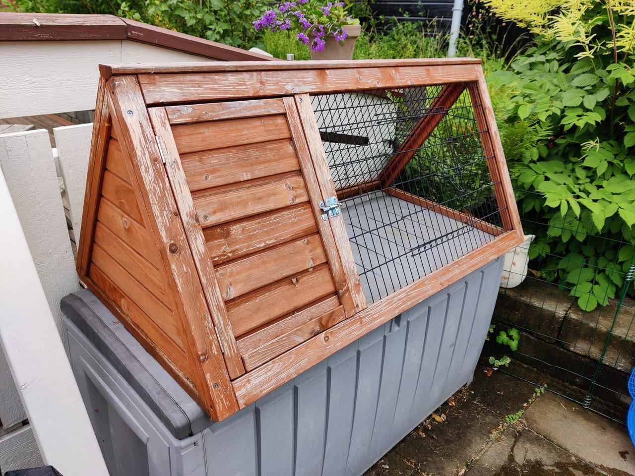 Kanin/marsvin bur | FINN torget