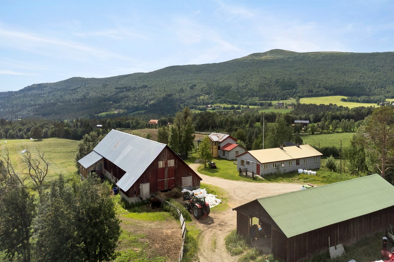 Gård med mangfold & muligheter. Drift med melkeku, seterdrift, jakt ...