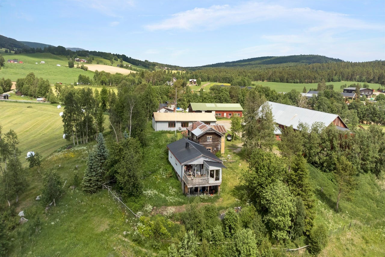 Gård med mangfold & muligheter. Drift med melkeku, seterdrift, jakt ...