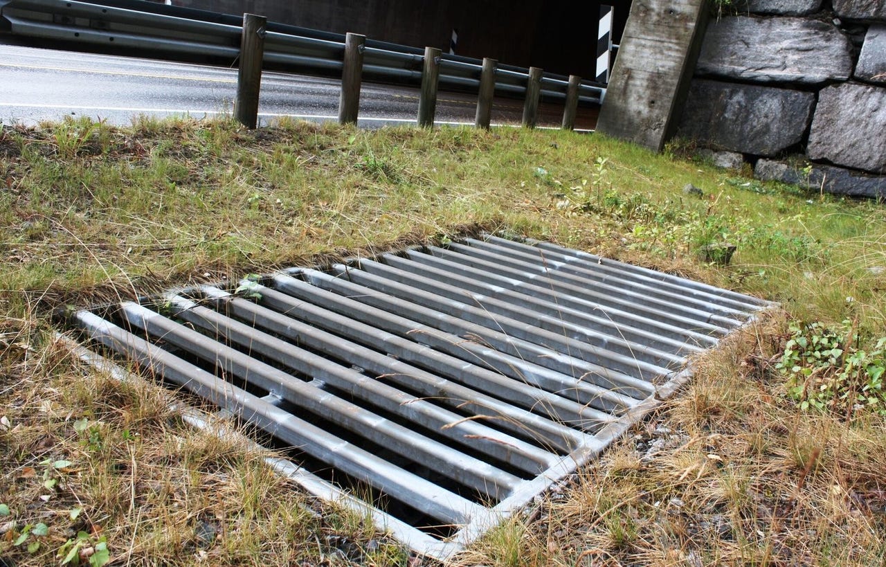 Grøfte- og kumrister | FINN-torget