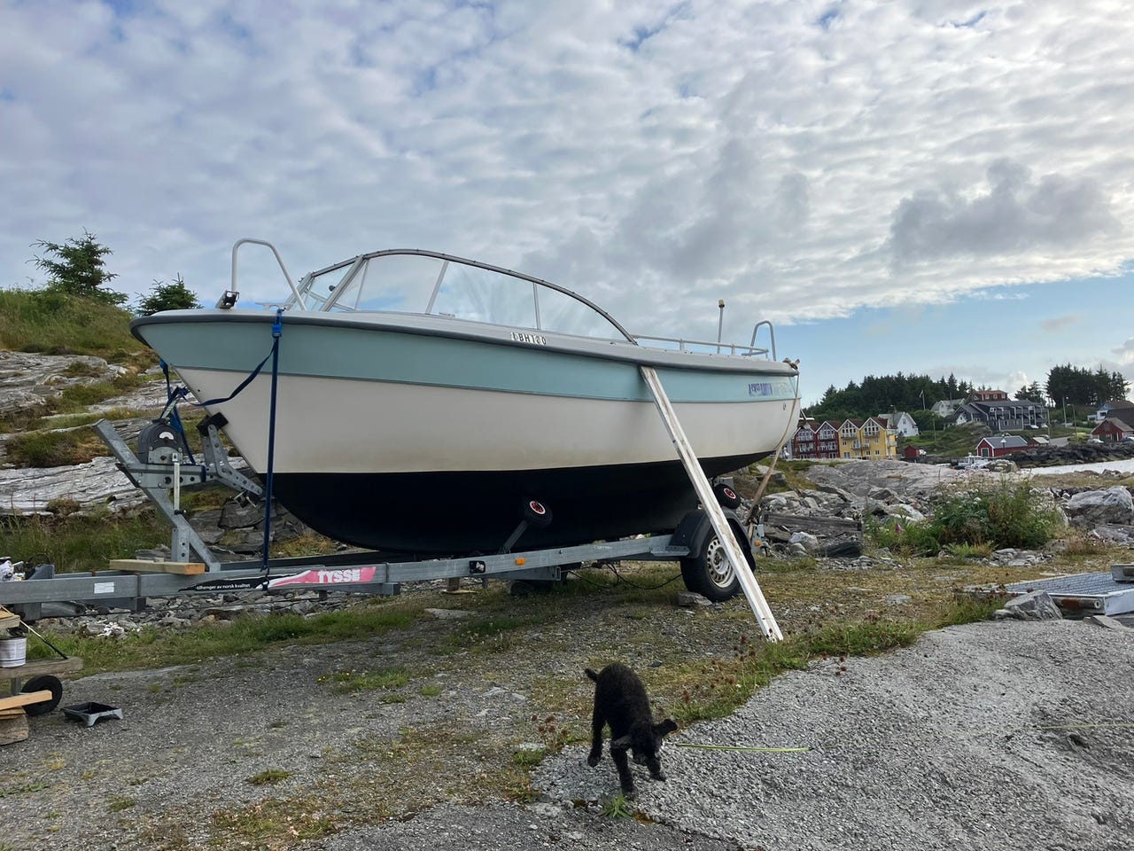 Til salgs: Askeladden 555 Classic - 1994 | FINN.no