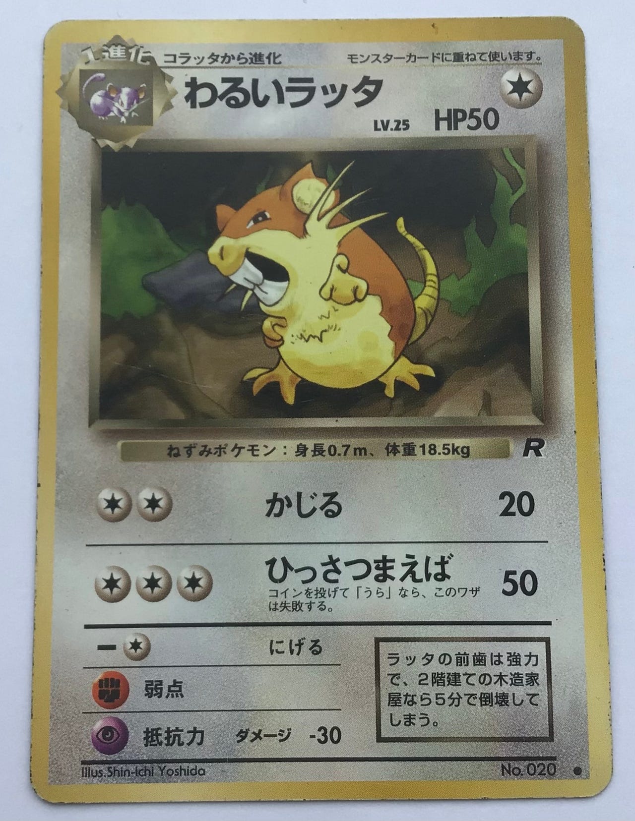 Pokemon samlekort Raticat no.020 fra Japan 1996 | FINN-torget