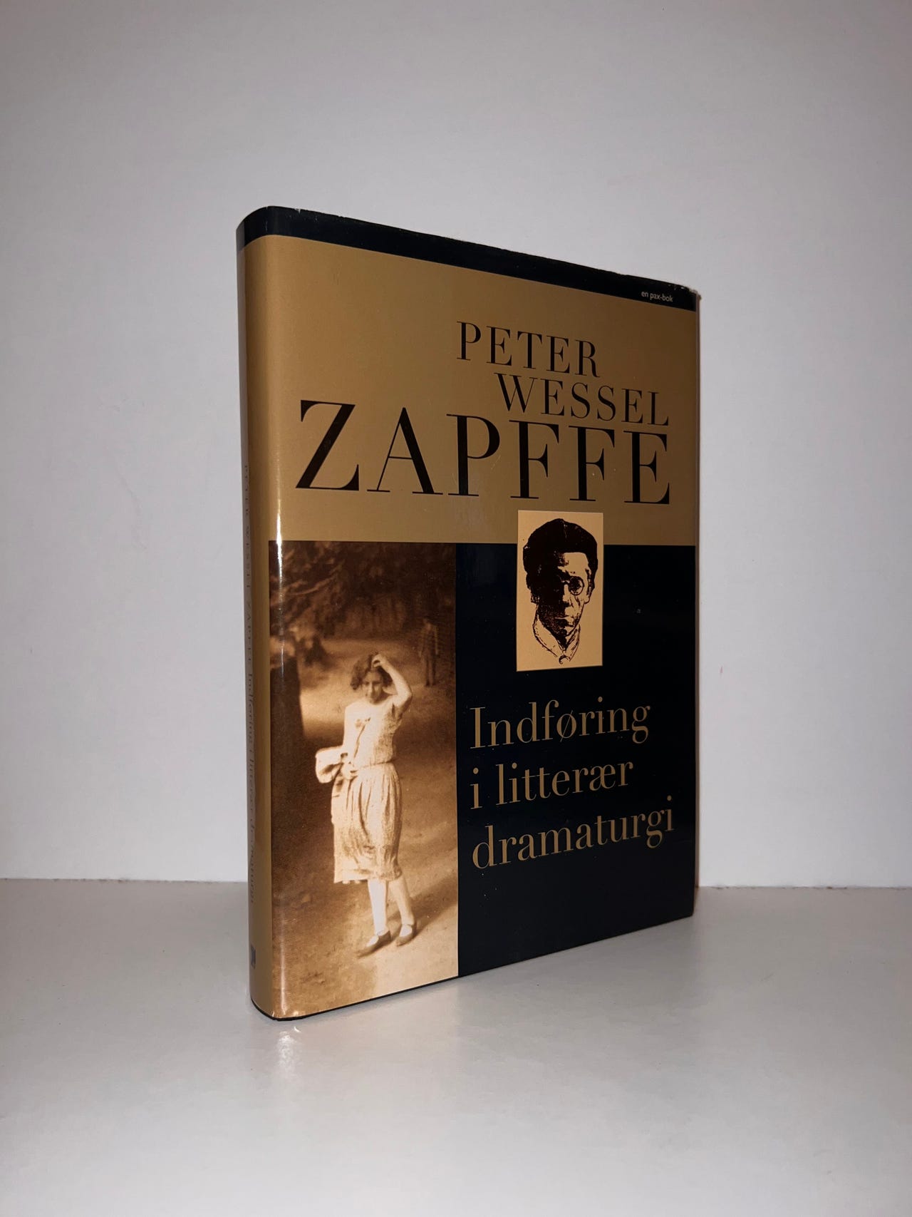 Indføring i litterær dramaturgi - Peter Wessel Zapffe. 1999 | FINN torget
