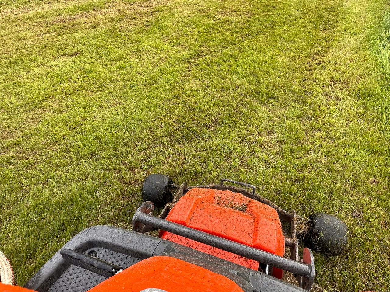 Proff mosefjerner og plenlufter til leie | FINN-torget