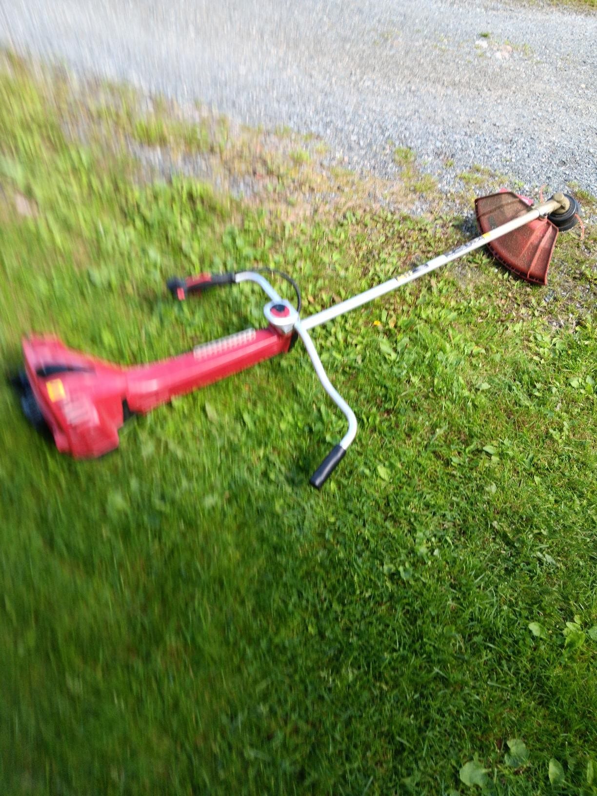 Meec ryddesag ( Jula ) ca 2 år gammel . | FINN torget