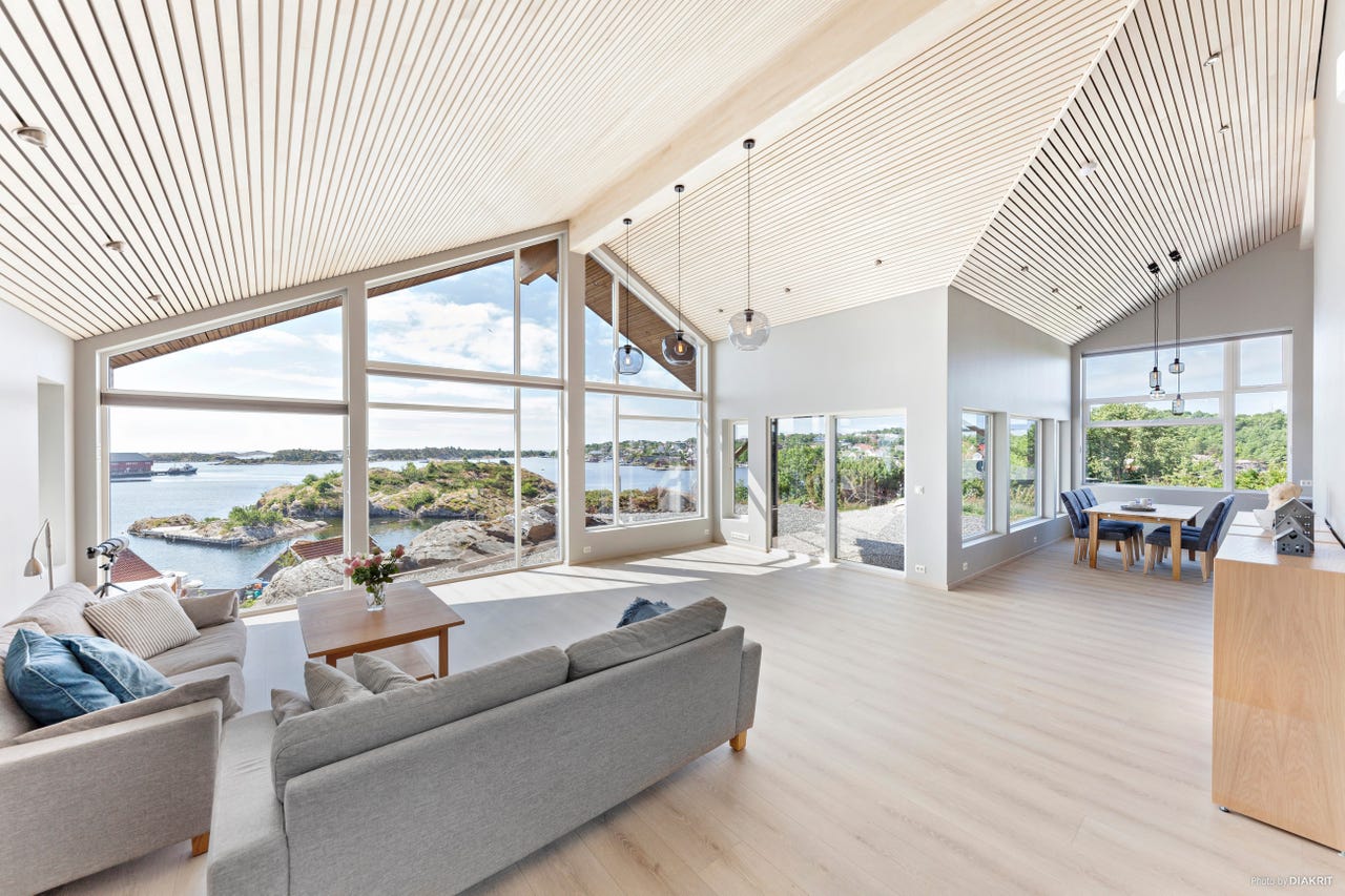 Spilehimling, Heltre Eik, Osp og Furu. | FINN-torget