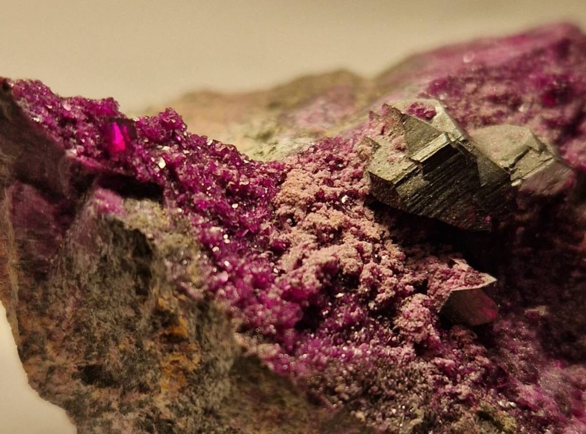 Kämmereritt (Kop Krom Mine, Tyrkia) | FINN-torget