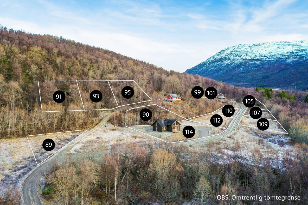 Storeng Hyttefelt: Rimelige hyttetomter til salgs I vei, vann og kloakk I Sjønært I Skuterløype ...
