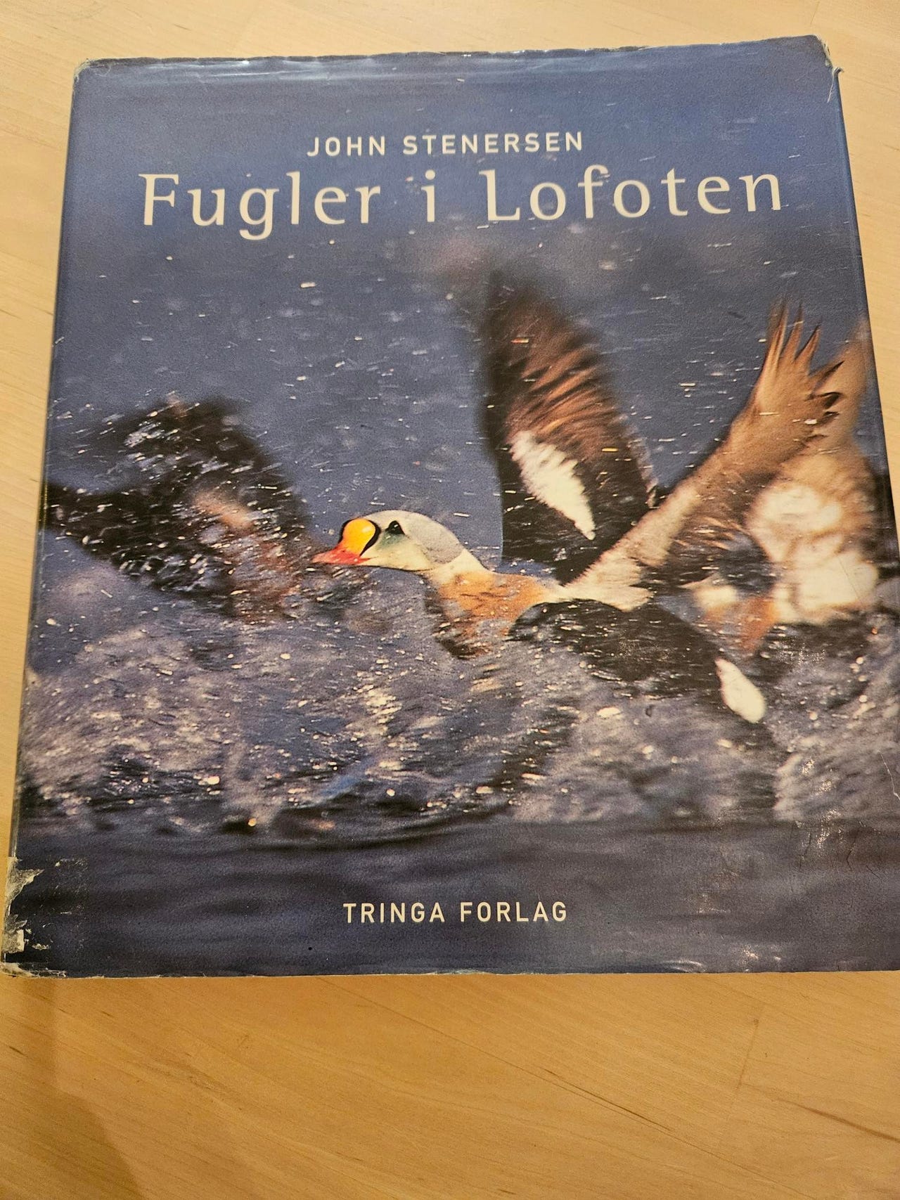 Fugler i Lofoten - John Stenersen | FINN-torget